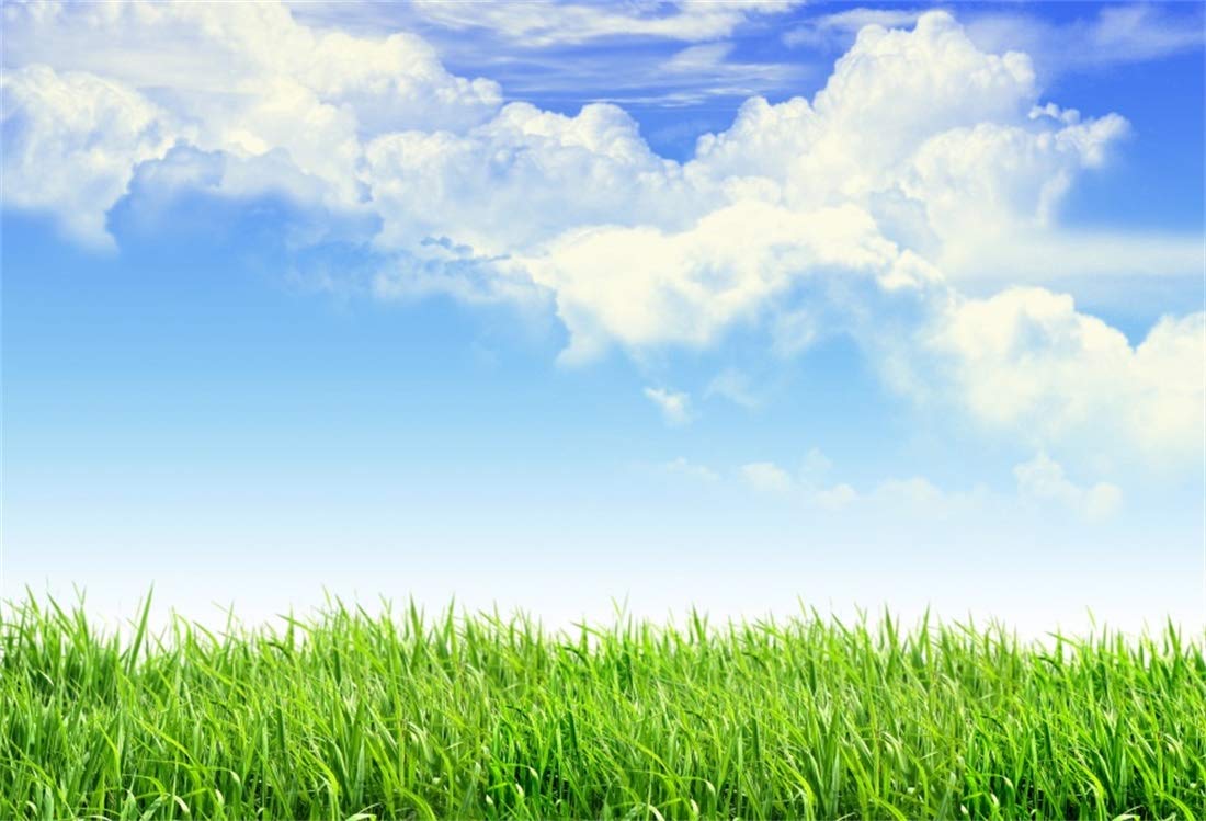 Sky And Grass Background