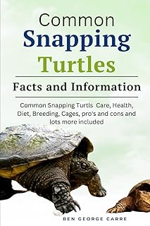 Snapping Turtle Lifespan: How Long Do They Live? | PetShun