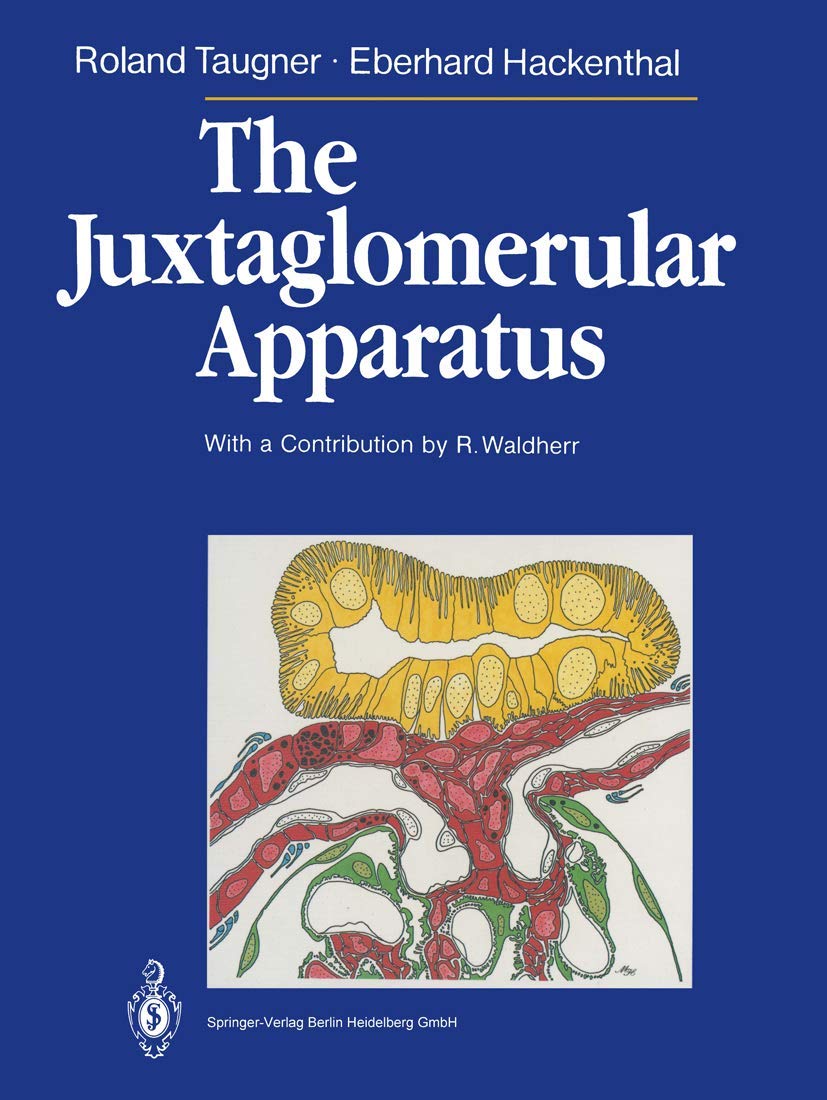 Jga Juxtaglomerular Apparatus Nephron: Structure And Types,