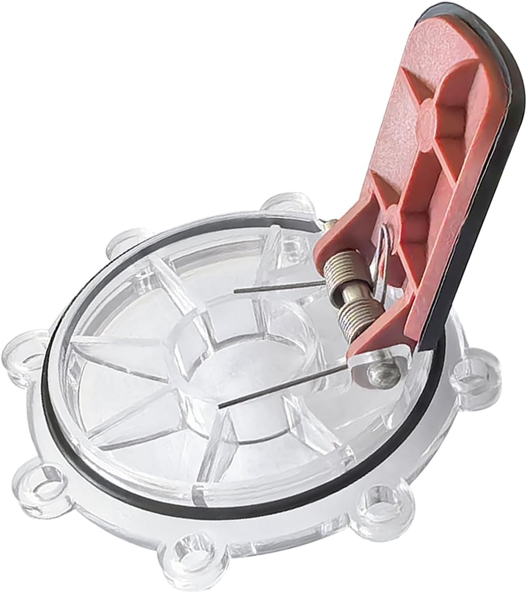 Amazon.com: Gunneran 7056 Check Valve Repair Kit for Jandy Zodic Spring ...