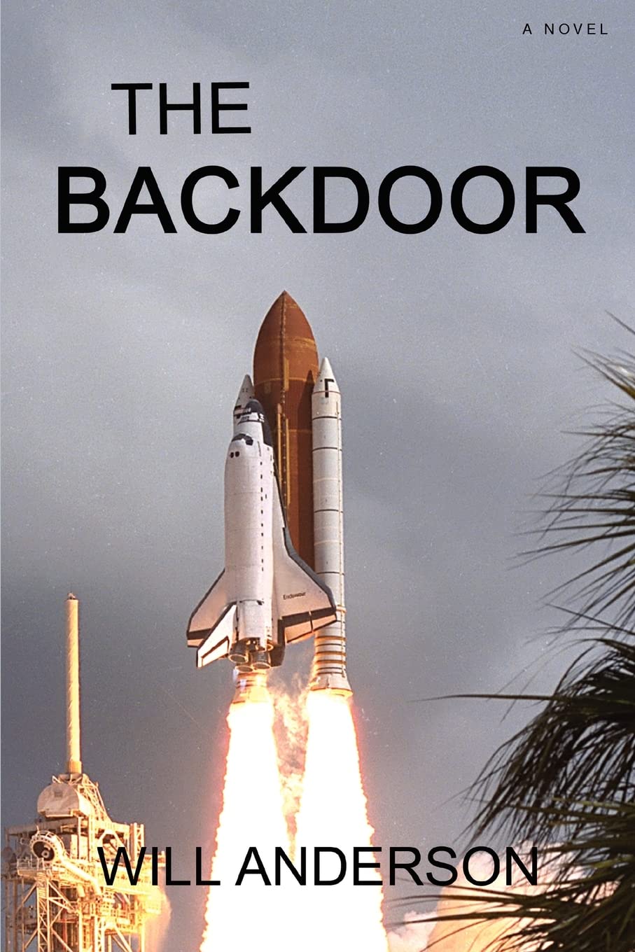The Backdoor: Anderson, Willard: 9780595458363: Amazon.com: Books