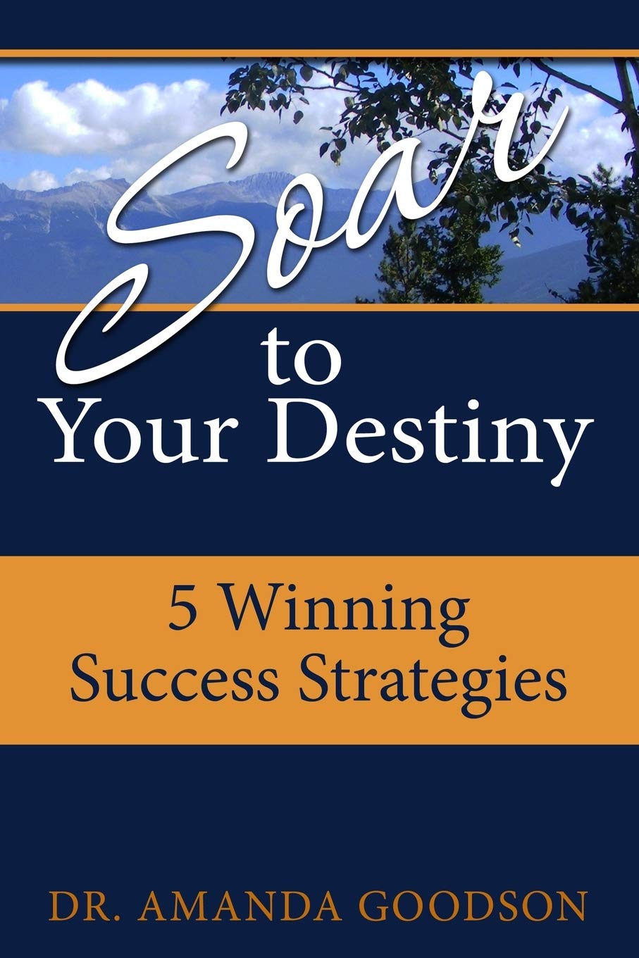 Soar to Your Destiny: Winning Success Strategies: Goodson, Dr. Amanda ...