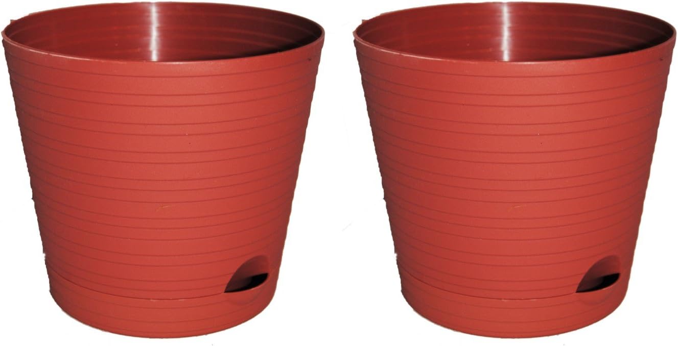 Amazon.com: Self- Watering Plastic Pot, 6" inch Planter with Detachable ...
