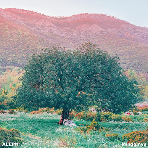 Amazon Music UnlimitedでAleph & Mingginyuのneverthelessを