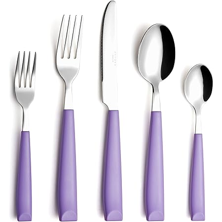 Amazon.com | Bisda 5-Piece Purple Silverware Flatware Set Service for 1 ...