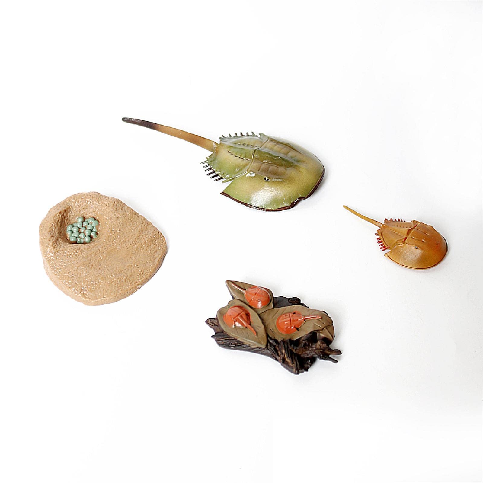 Buy Animal Figure,Life Cycle Figures,Simulation Sea Life Animals ...