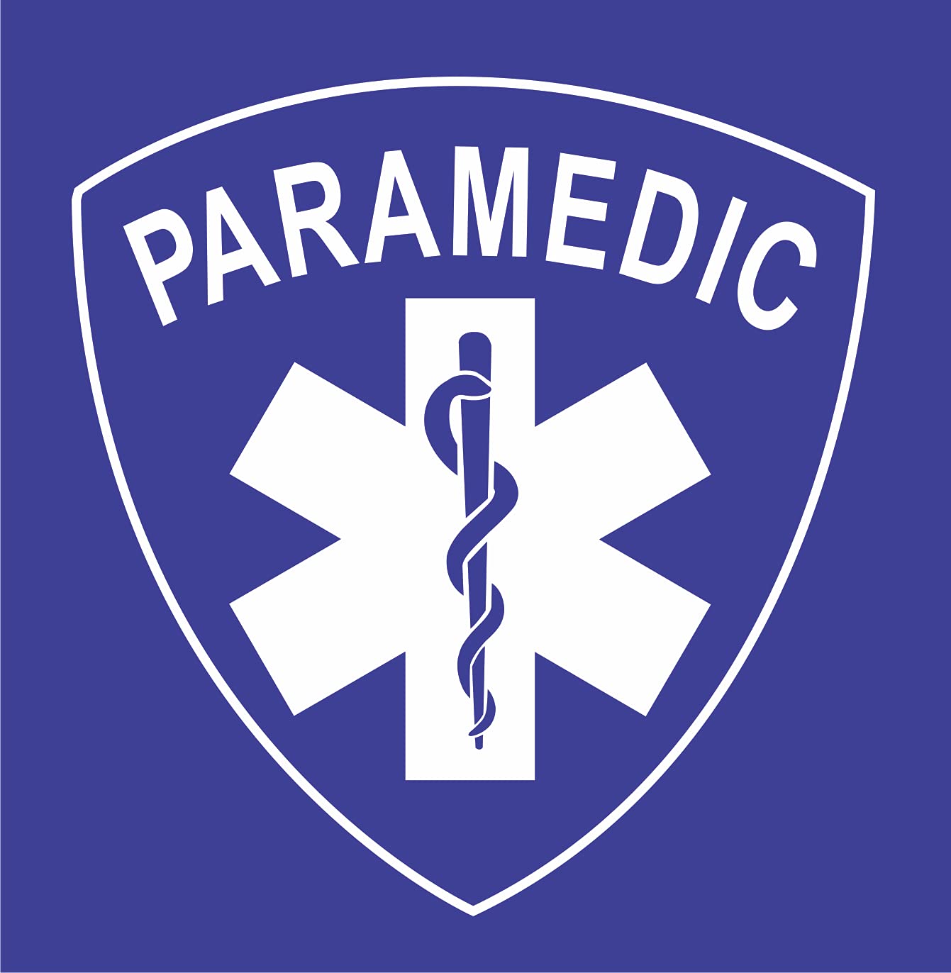 Paramedics Badge Stencil 60,800+ Medical Badge Stock Illustrations,