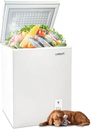 Amazon.com: LAMEDLPT Mini-Chest-Freezer, Deep-Freezers-Small Compact ...