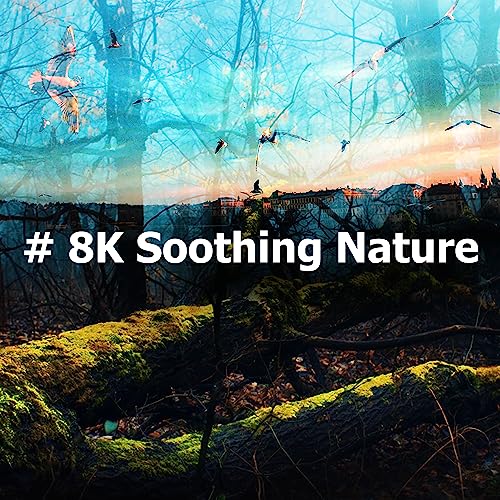 Amazon.com: # 8K Soothing Nature : Nature Sounds Nature Music: Digital ...
