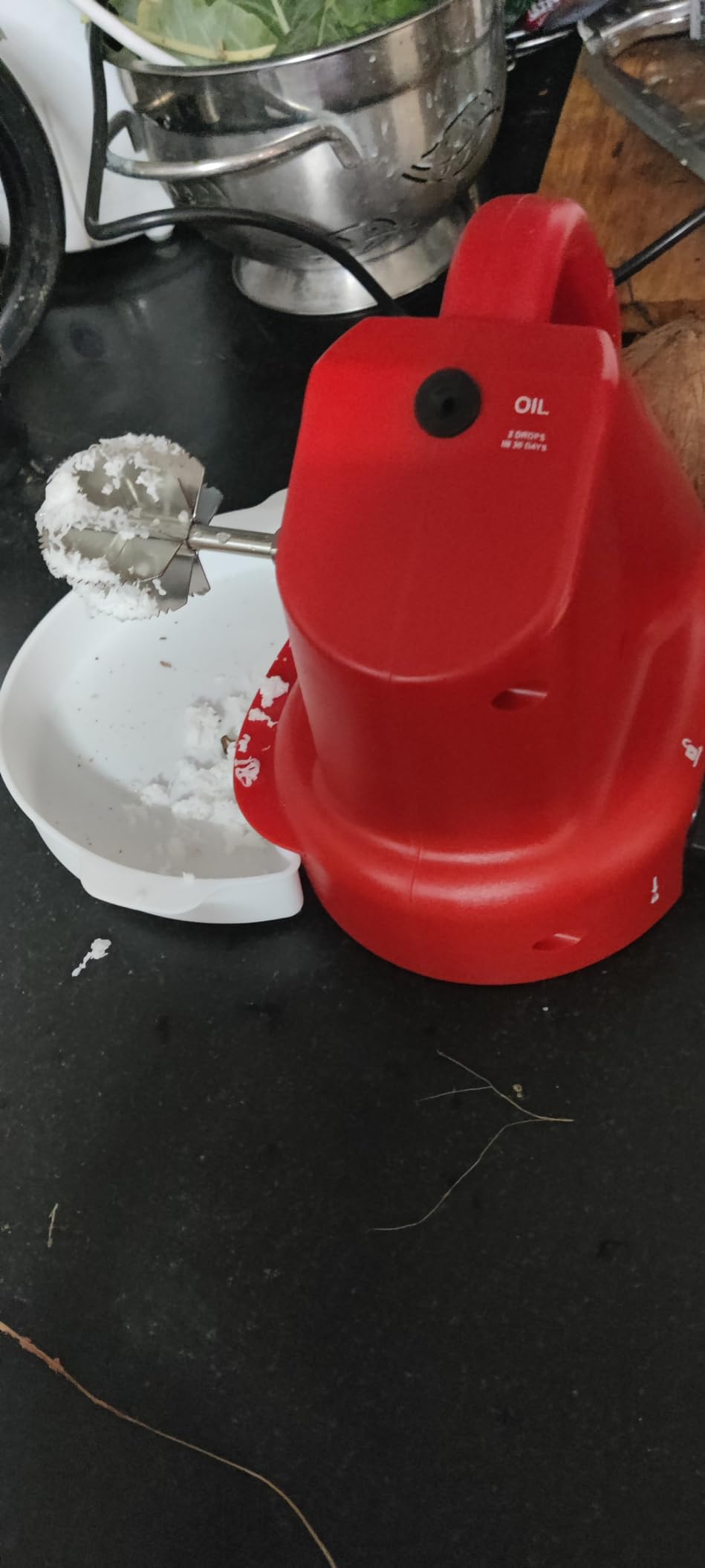 Maggi Rio Scrapol Electric Coconut Scraper for Kitchen Vacuum Base with ...