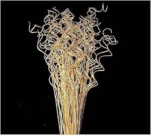 Amazon.com - 24-28" Gold Sparkle Curly Ting Ting Branch