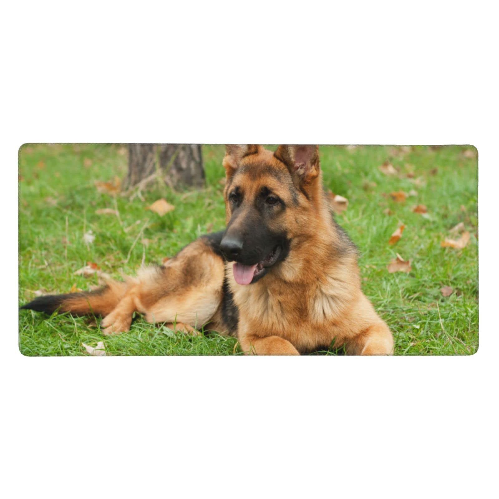 German Shepherd On Computer
