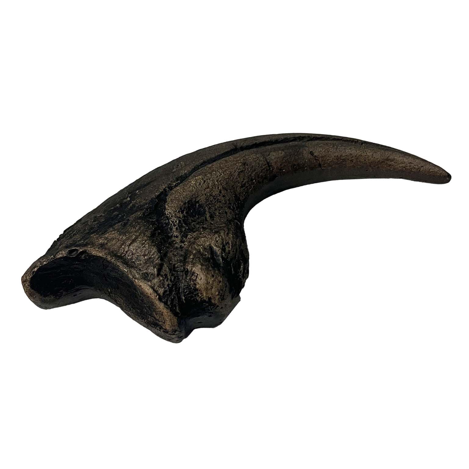 Dinosaur Claws Trinx Jesselee Allosaurus Dinosaur Head Mouth Open Life ...