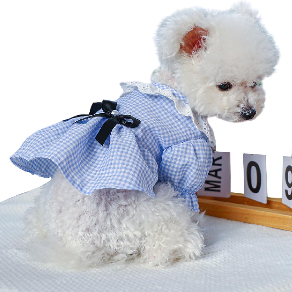 Amazon.com : Summer Dog Clothes Dog Dress Tutu Skirt Puppy Dresses ...
