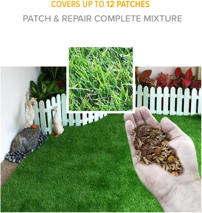 250g Speedy Seed Ultra Patch – Patch & Repair Complete Mixture ...