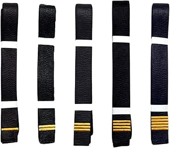 Amazon.com: SHIHAN POWER SPORTS 5x Set of Dan Karate Belts 1,2,3,4 & 5 ...