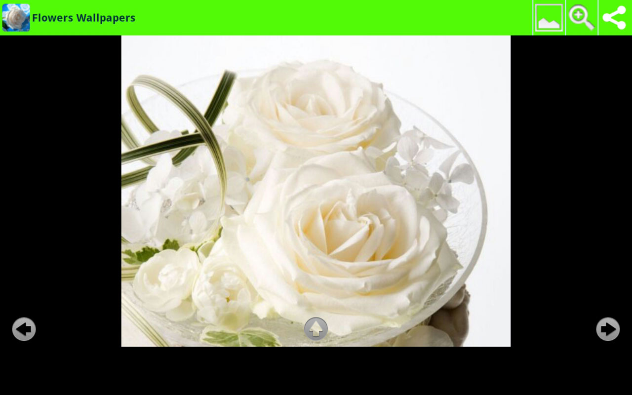 Flowers Wallpapers - App on Amazon Appstore