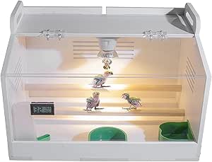 Amazon.com : Intelligent Brooder Box 4 Suit,10-15 Newborns Chicks Birds Parakeet Incubators ...