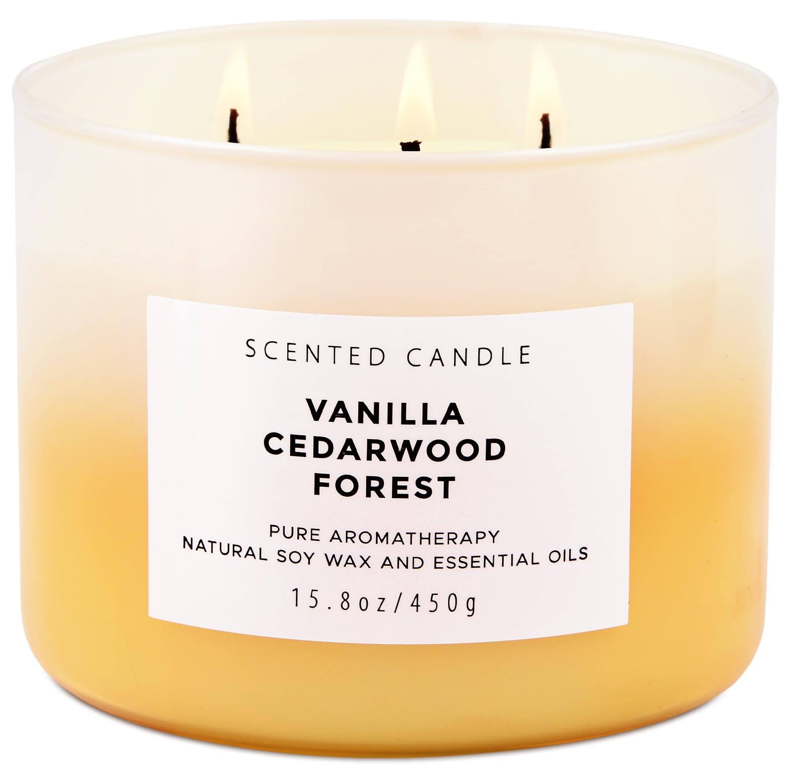 Amazon.com: Warm Vanilla Cedarwood Forest 3 Wick Scented Candle ...