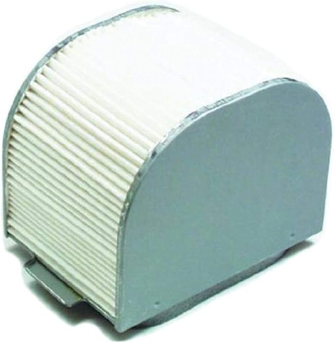 Amazon.com: Hiflofiltro HFA4609 Premium OE Replacement Air Filter ...