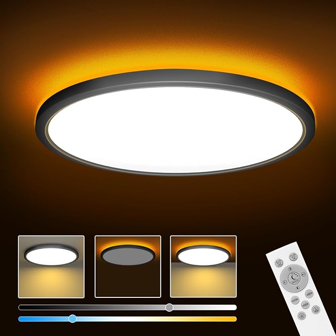 slochi Dimmable Ceiling Light, 24W Ceiling Light with Remote Control ...