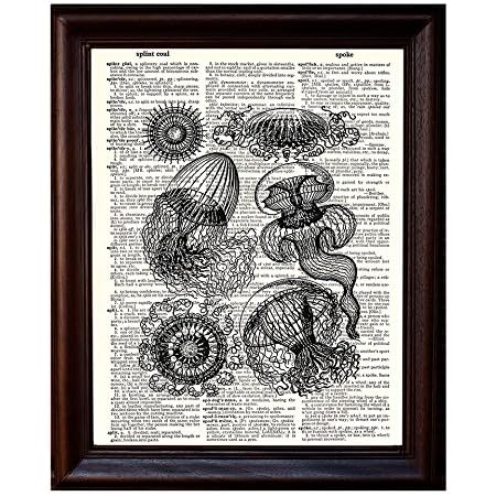 Amazon.com: Dictionary Art Print - Red Fox - Printed on Recycled ...