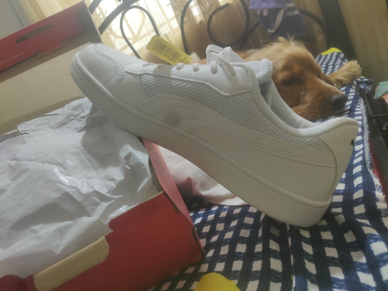 Buy Puma Unisex-Adult Smash Comfort White-Black Sneaker - 7 UK ...