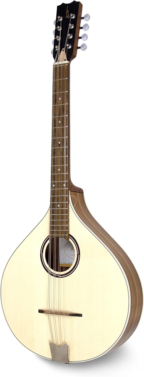 APC instruments MOC308 Octave Mandolin : Amazon.co.uk: Musical ...