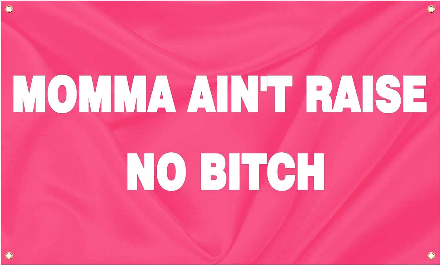 Amazon.com : 3x5 FT MOMMA AIN'T RAISE NO BITCH Flag - Pink Motivational ...