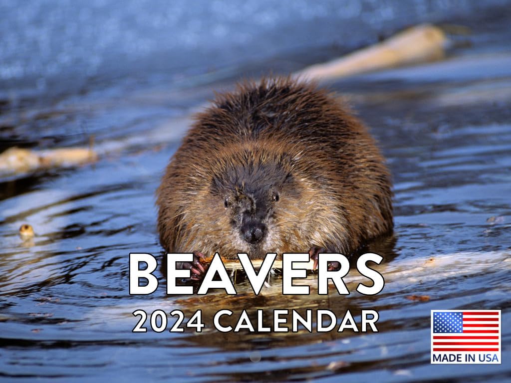 Amazon.com: Beaver Calendar 2024 Monthly Wall Calender 12 Month : Home ...