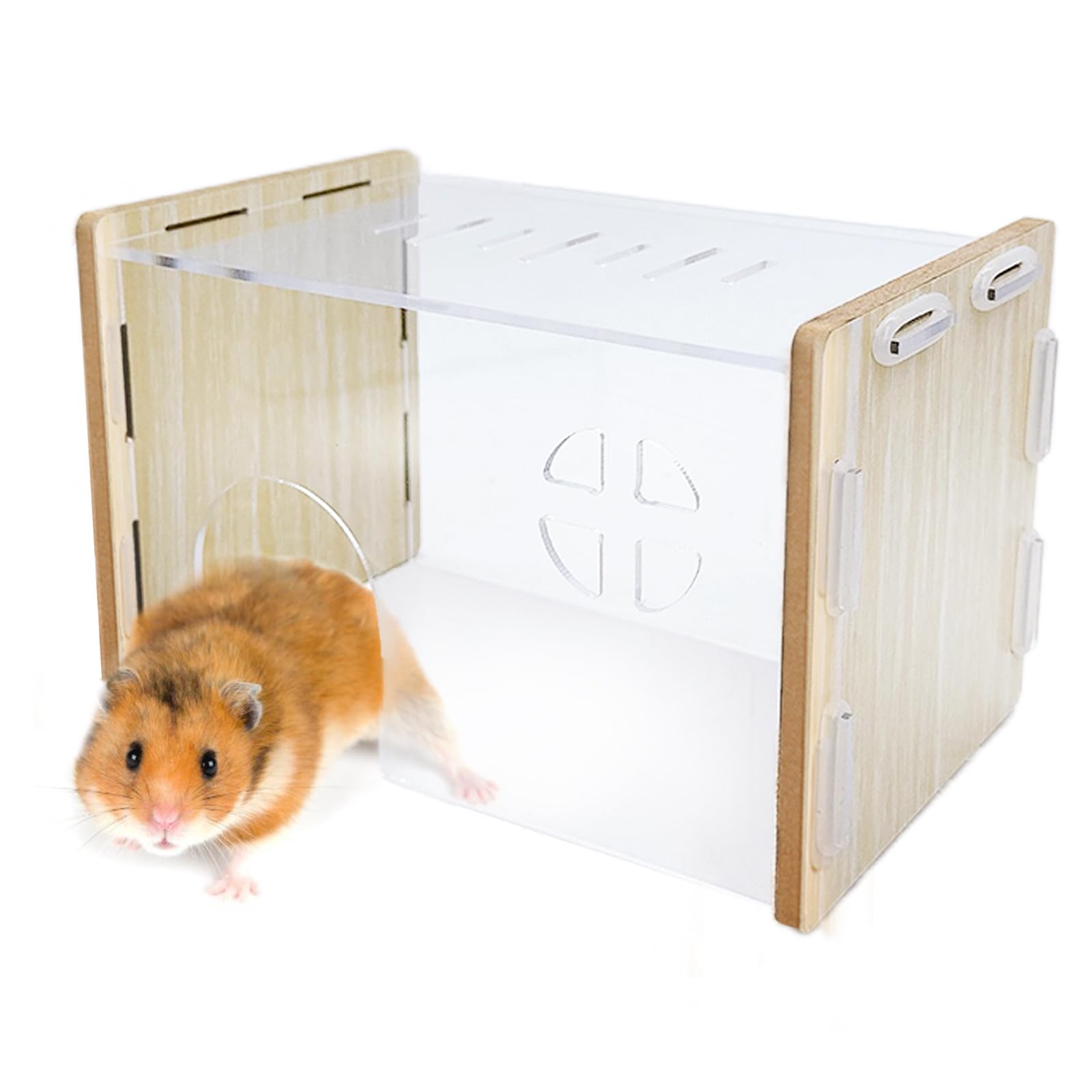 Amazon.com : Hamiledyi Hamsters Hideout-Tunnel House Acrylic Panel for ...