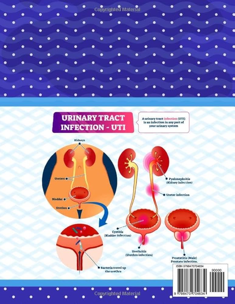 Coloring Pages Urinary System [2025]