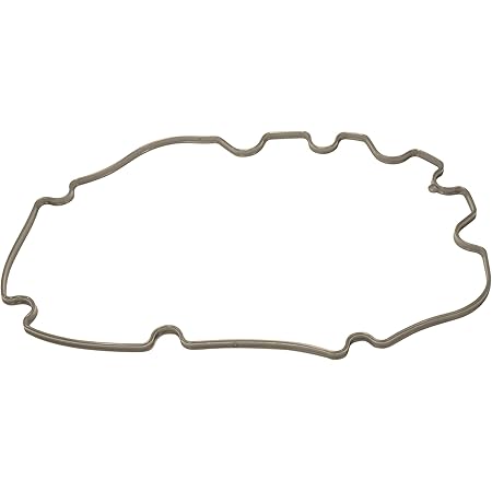 Amazon.com: GM Genuine Parts 15286384 Wheel Speed Sensor Tone Ring ...