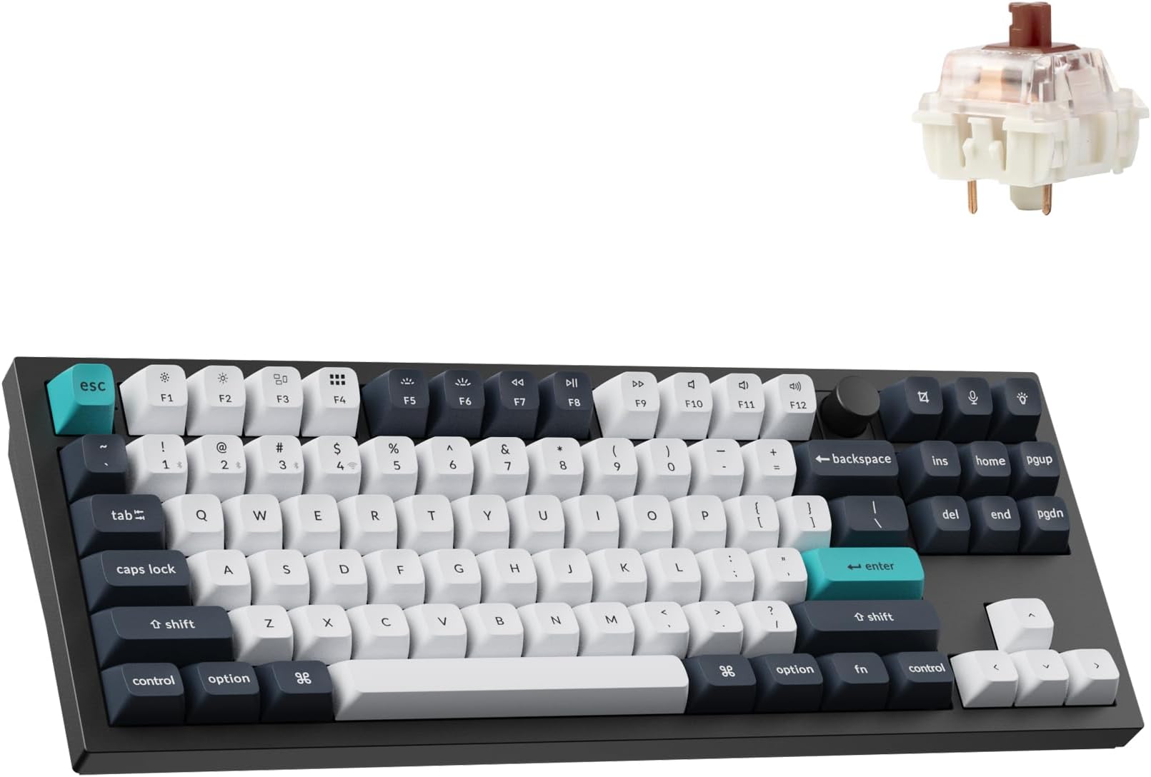 Amazon.com: Topre Realforce R2 TKL RGB Keyboard Topre 45g : Electronics