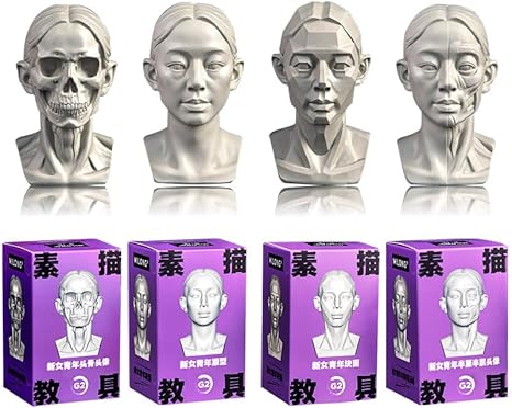 Amazon.com: 4Pack Female Standard Planar Head, Model for Artists Learn ...