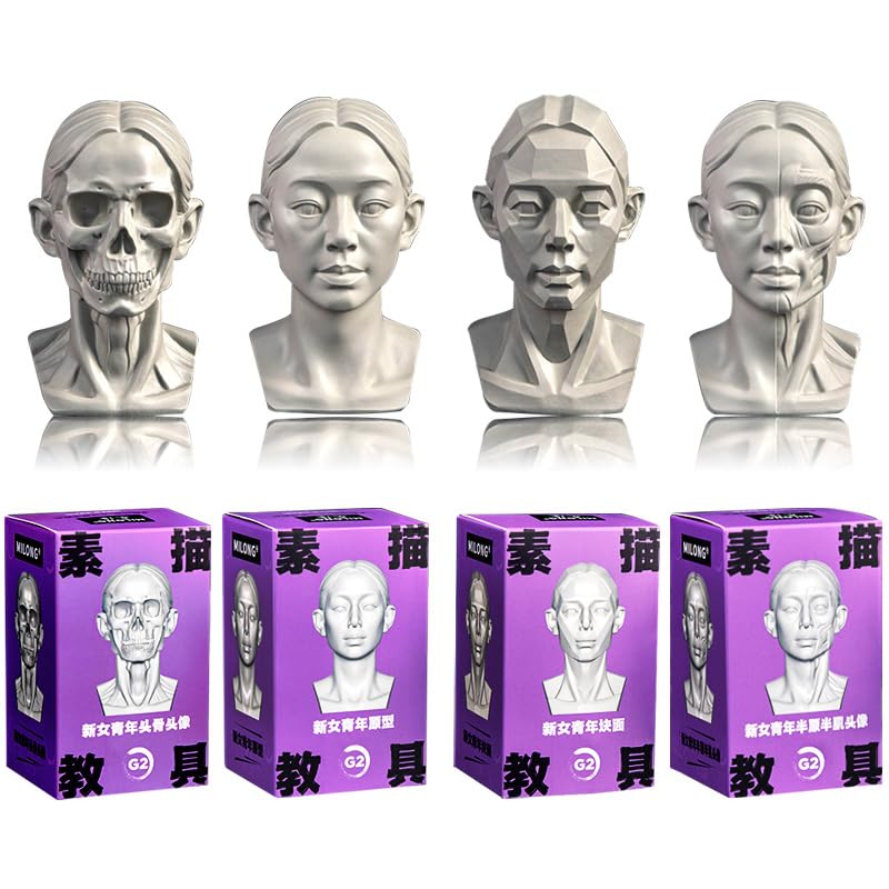 Amazon.com: 4Pack Female Standard Planar Head, Model for Artists Learn ...