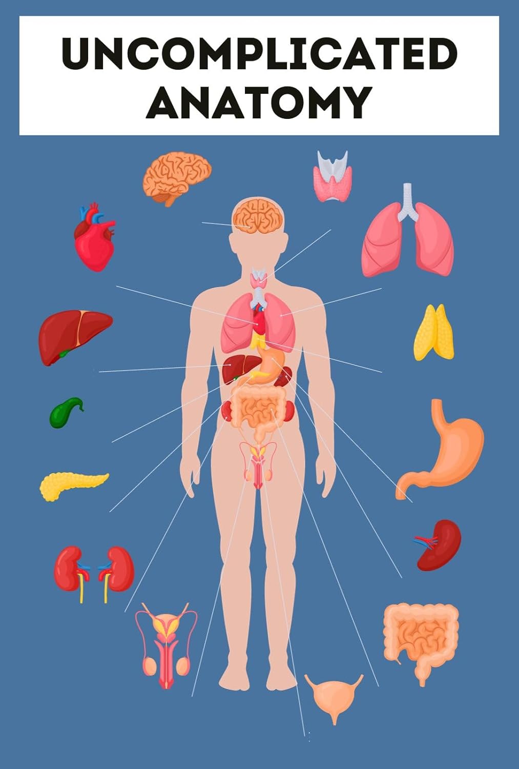 Amazon.com: Uncomplicated Anatomy: An Ultrasimplified Guide for You to ...