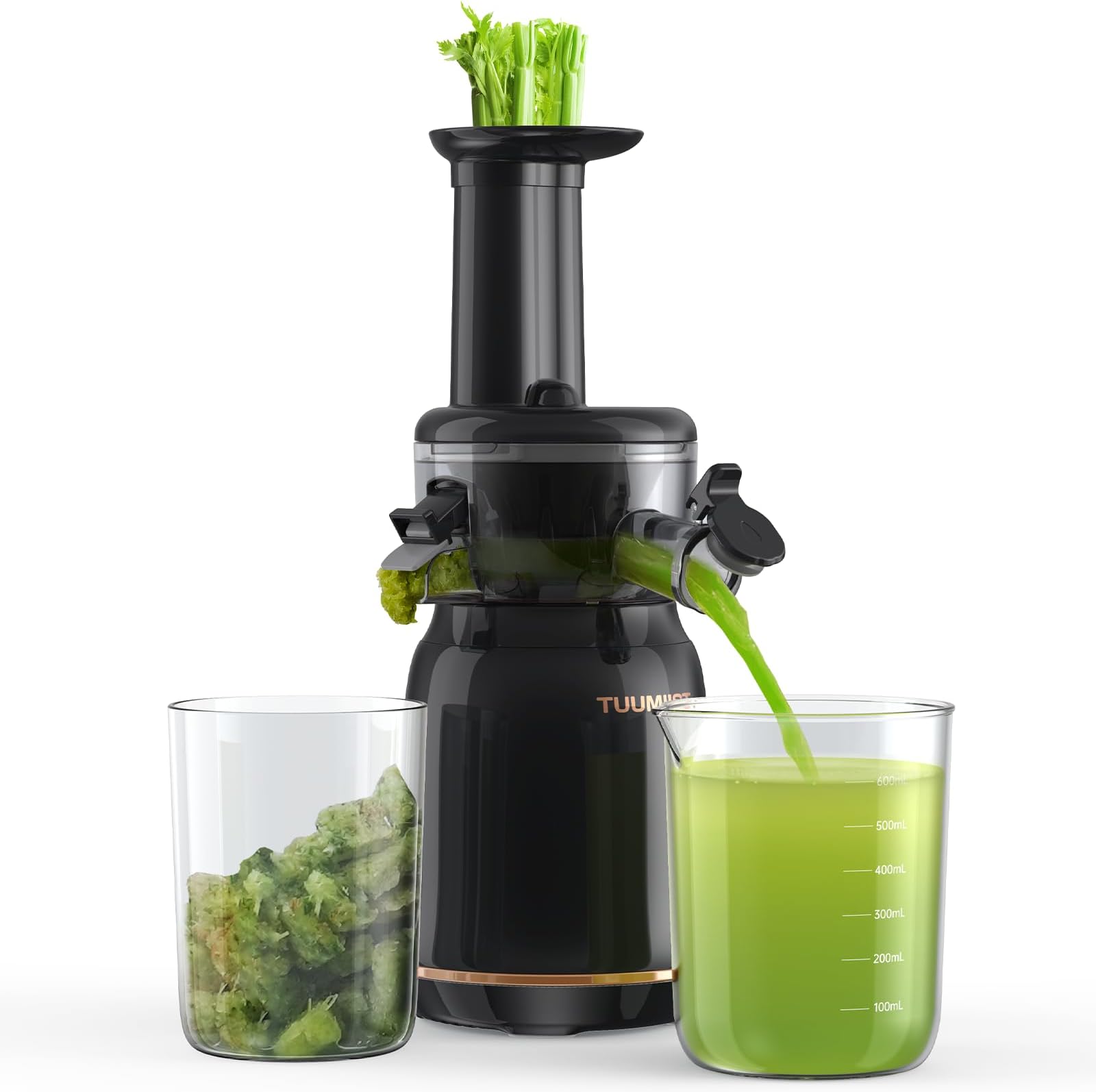 Amazon.com: AMZCHEF Professional Slow Juicer, Vegetable & Fruit Juicer ...
