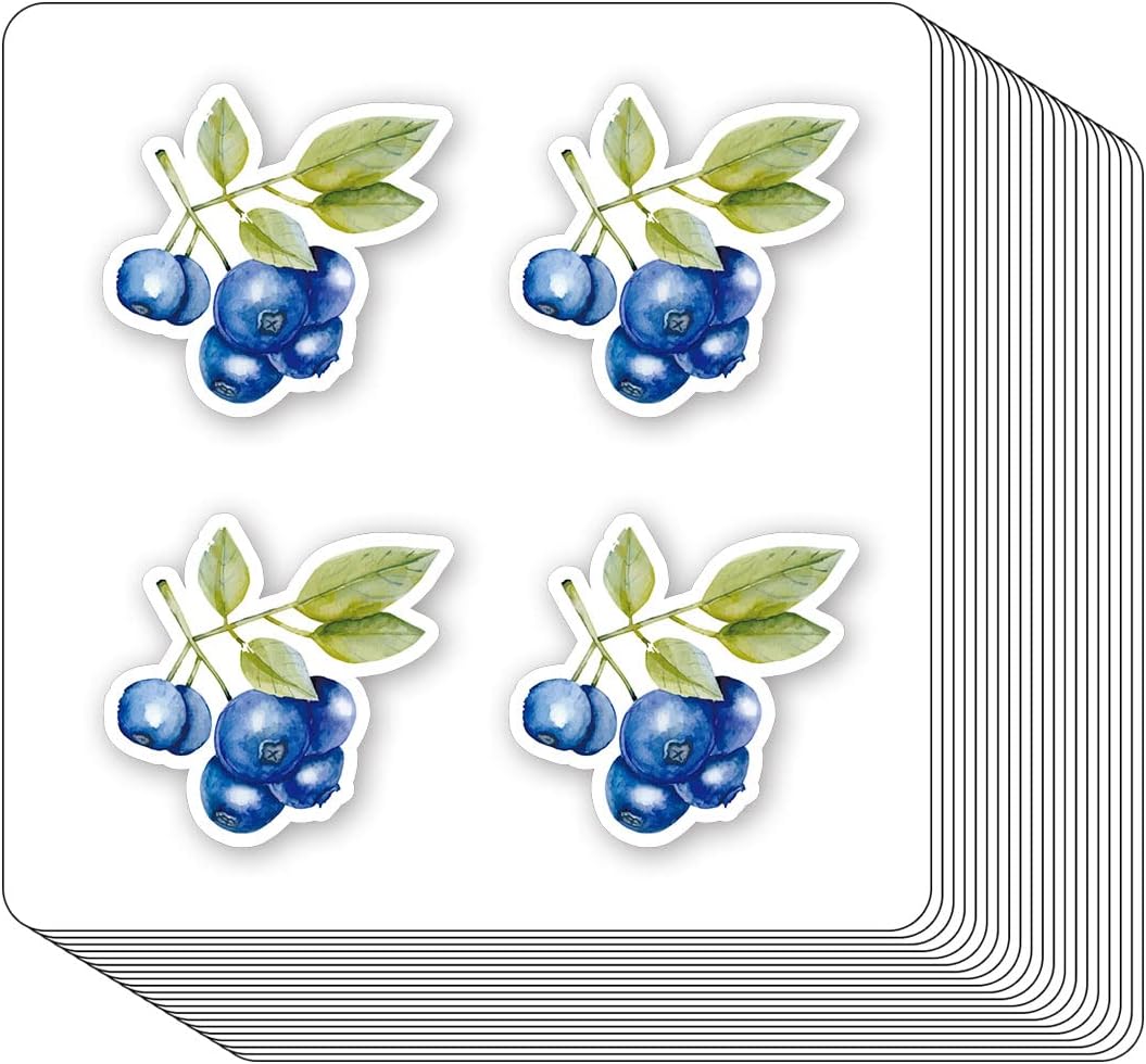 Amazon.com: Blueberry Berries Healthy Food Stickers 1in for ...