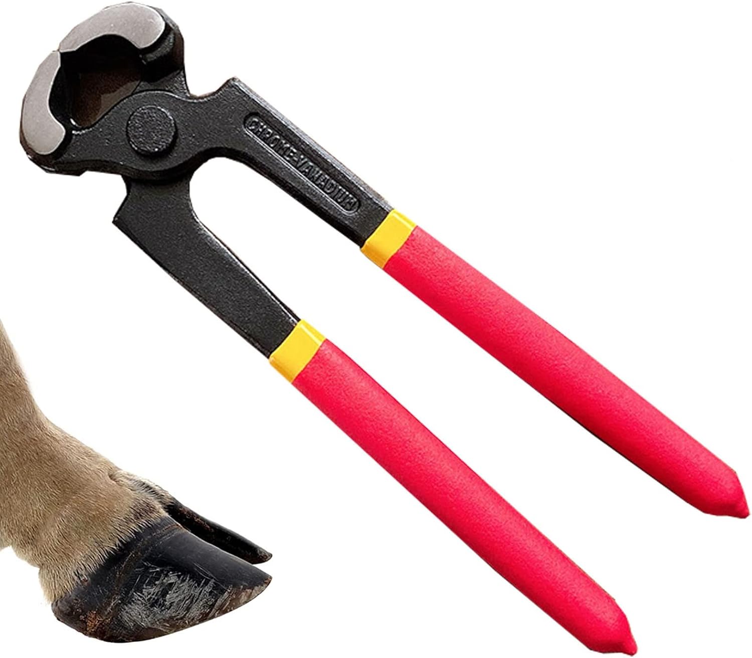 Amazon.com: iksya Horse Hoof Nippers Trimmer - Professional Horse ...