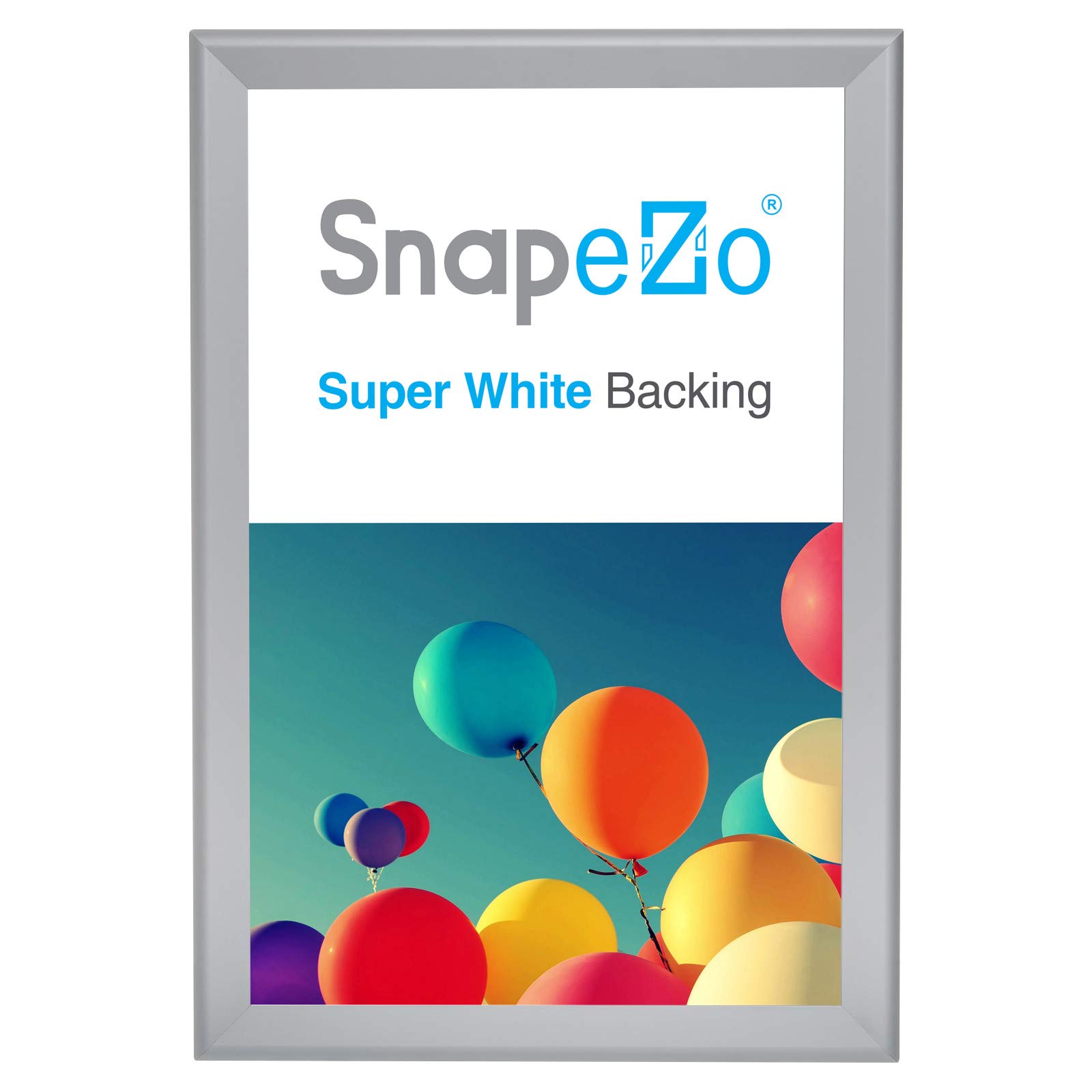 Amazon.com - SnapeZo Silver 32x48 Poster Frame, 1.7" Aluminum Profile ...