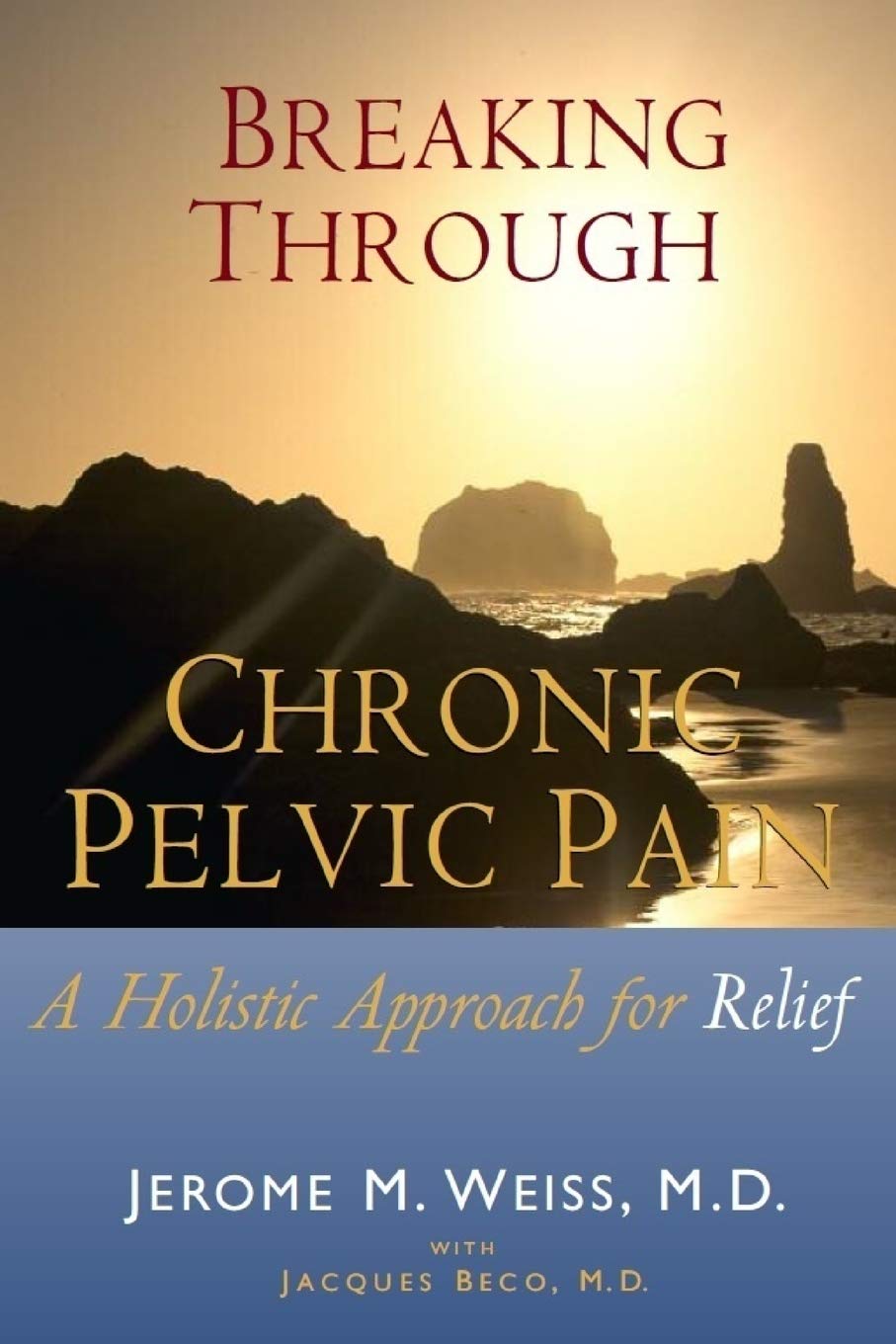 Breaking Through Chronic Pelvic Pain: A Holistic Approach for Relief ...