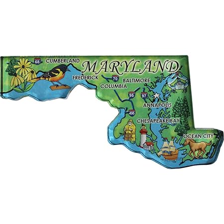 Amazon.com: Florida - Acrylic State Map Refrigerator Magnet : Home ...