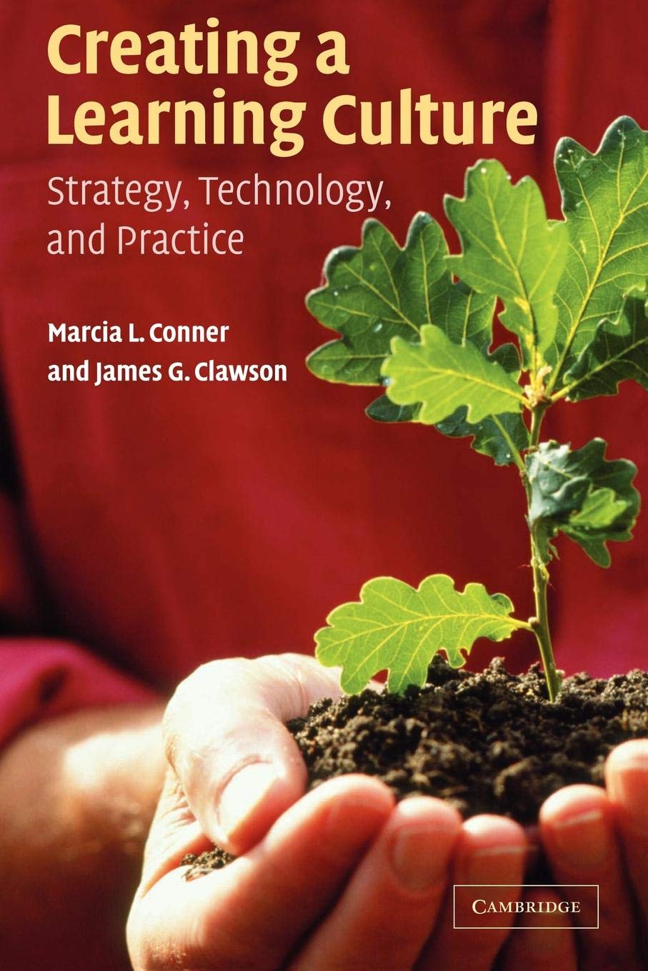 Creating a Learning Culture: Strategy, Technology, and Practice: James ...