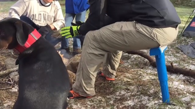 Watch Sitgo Portable Collapsible Stool on Amazon Live