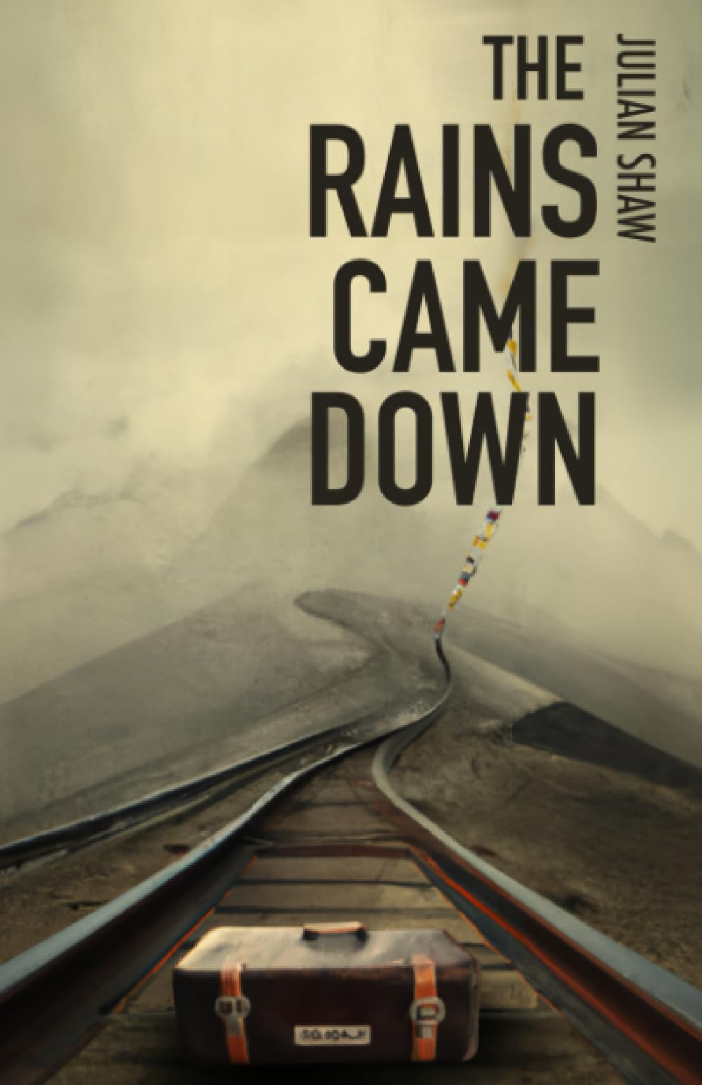 The Rains Came Down: Shaw, Julian: 9781739439705: Amazon.com: Books