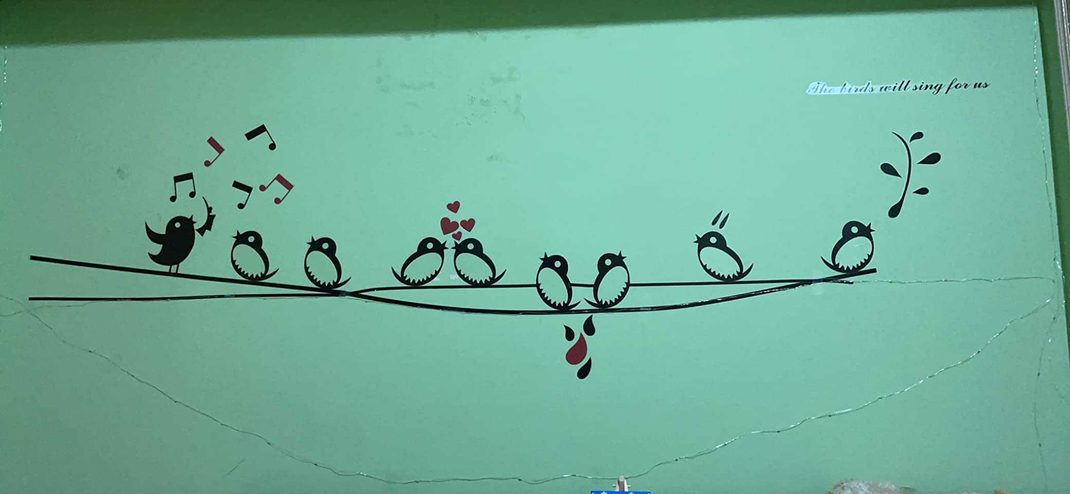Decals Design 'Cute Singing Birds' Wall Sticker (PVC Vinyl, 50 cm x 70 ...