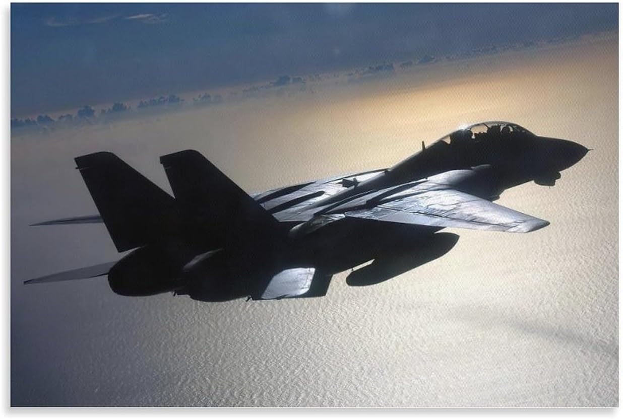 Amazon.com: Kvsyaw F14 Tomcat Poster Wall Art Canvas Print Poster ...