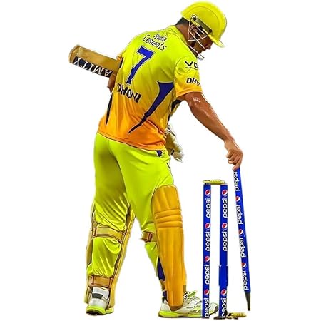 Impression Wall Decor Vinyl Wicket Keeper M.S. Dhoni Window Door ...