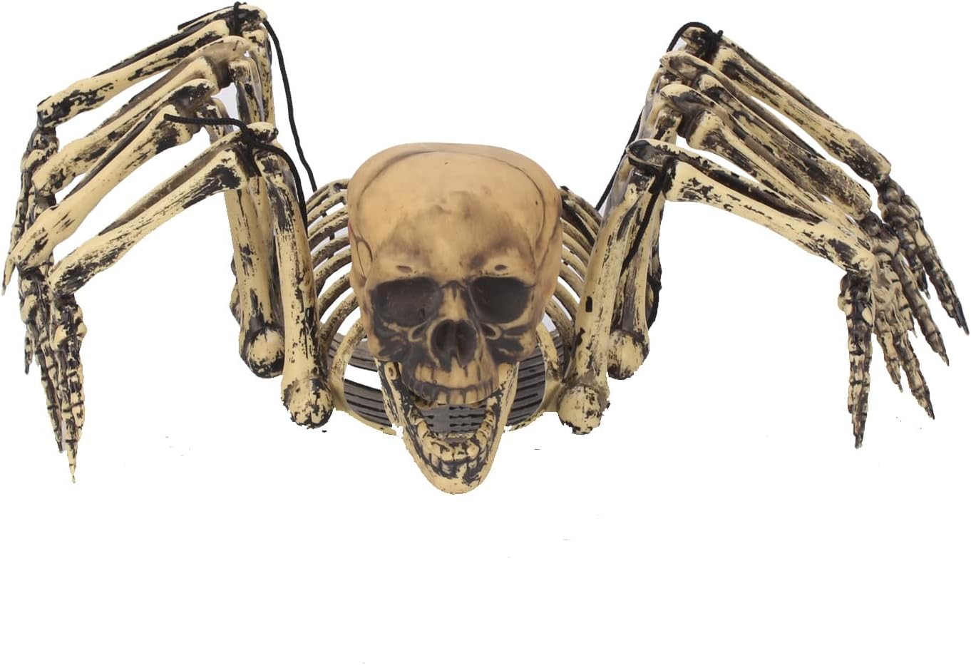 Amazon.com: Halloween Spider Skeleton Props Hanging, Creeper and ...